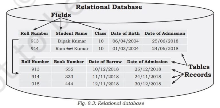 Database Management System Class 10 Notes IT 402 | 2026 CBSE Skill ...