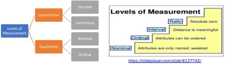 Data Literacy Class 11 AI Notes | CBSE Skill Education