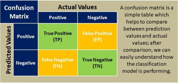 Evaluating Models Class 10 Notes | CBSE Skill Education