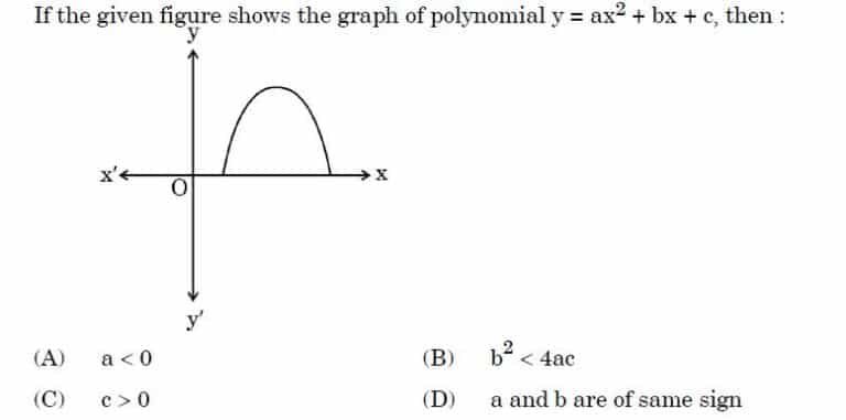 Math Standard Class 10 Board Paper MCQ 1 | CBSE Skill Education